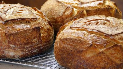Daily Bread Sourdough – The Baking Network