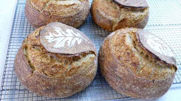 Whole Wheat & Rye Sourdough – The Baking Network